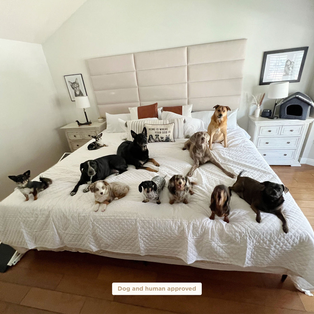 Oversized Mattresses | Big Mattress Co.