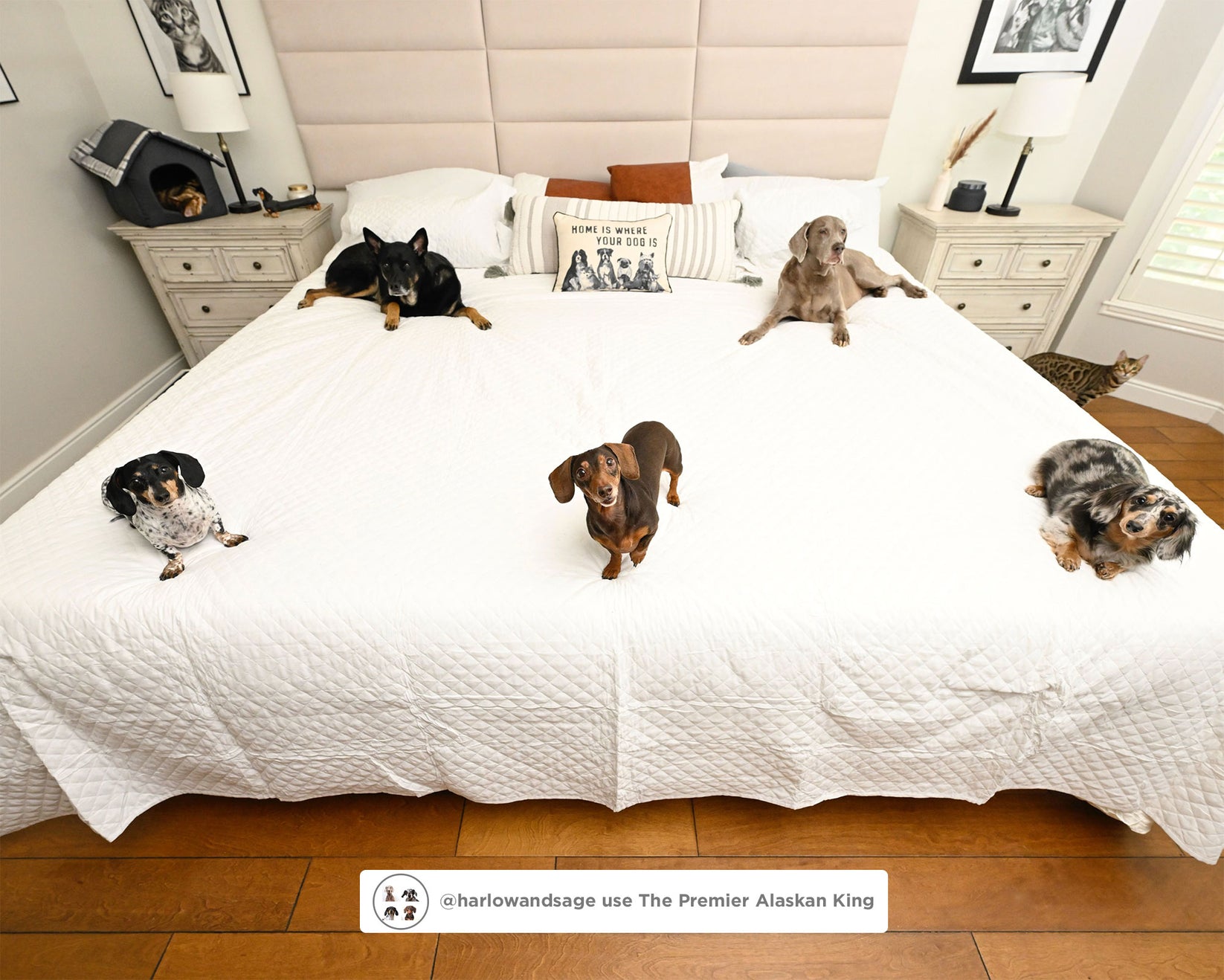 Big Mattress Co.® Premier Mattress